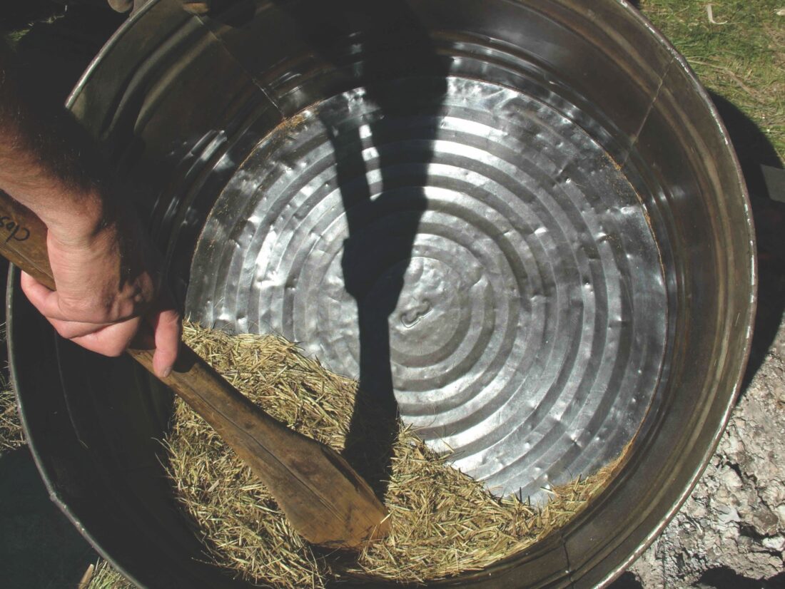 How to Harvest Wild Rice - Grit